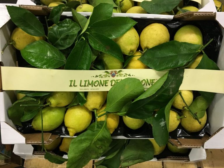 Venez apprécier nos variétées de prunes - Atlantic Primeurs