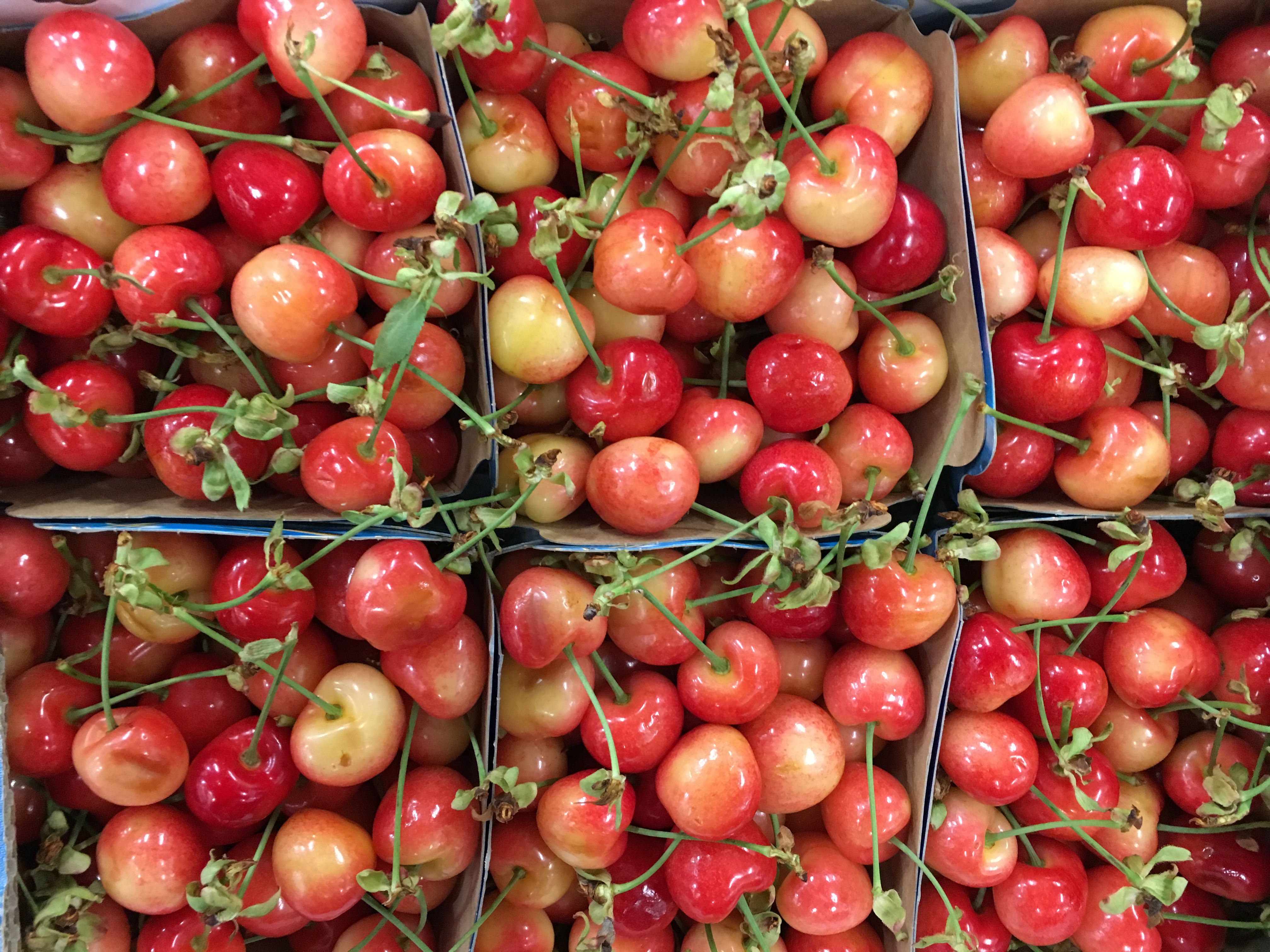 Venez apprécier nos variétées de prunes - Atlantic Primeurs
