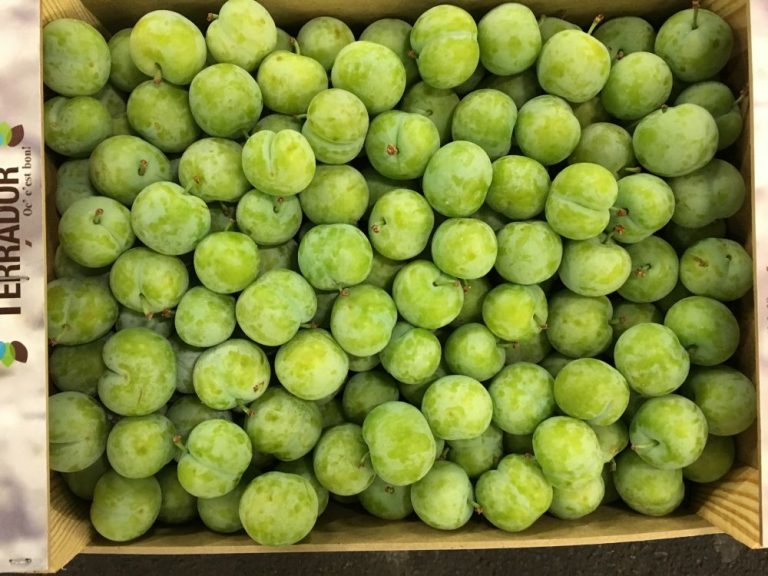 Venez apprécier nos variétées de prunes - Atlantic Primeurs