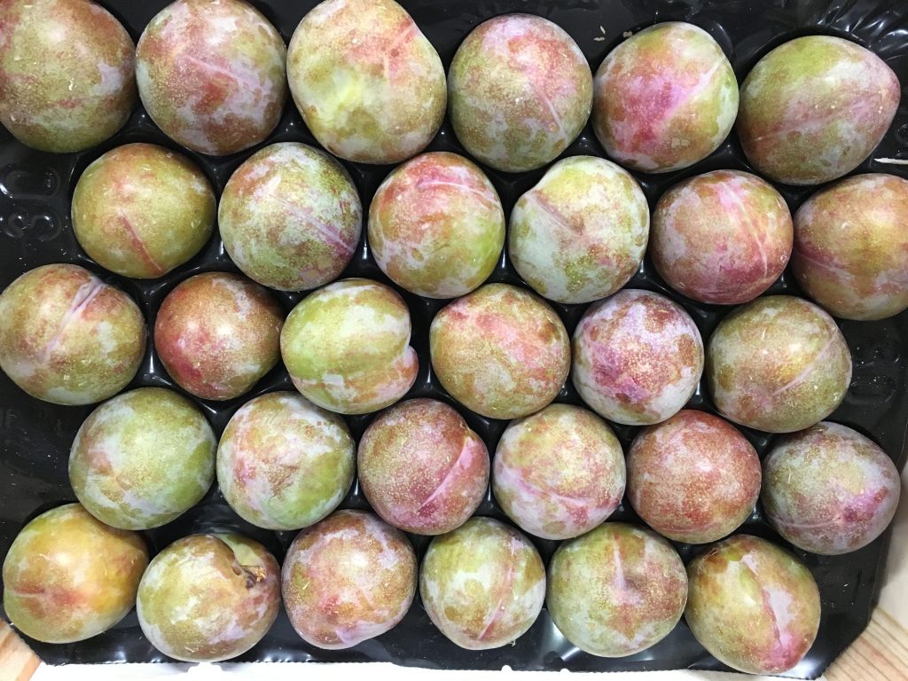 Venez apprécier nos variétées de prunes - Atlantic Primeurs