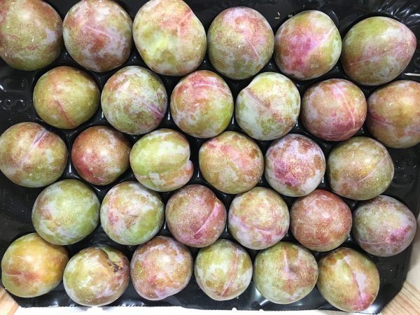 Venez apprécier nos variétées de prunes - Atlantic Primeurs