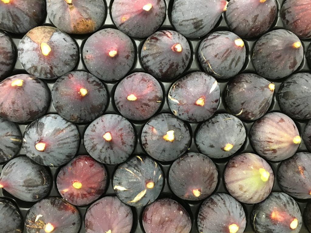 Venez apprécier nos variétées de prunes - Atlantic Primeurs