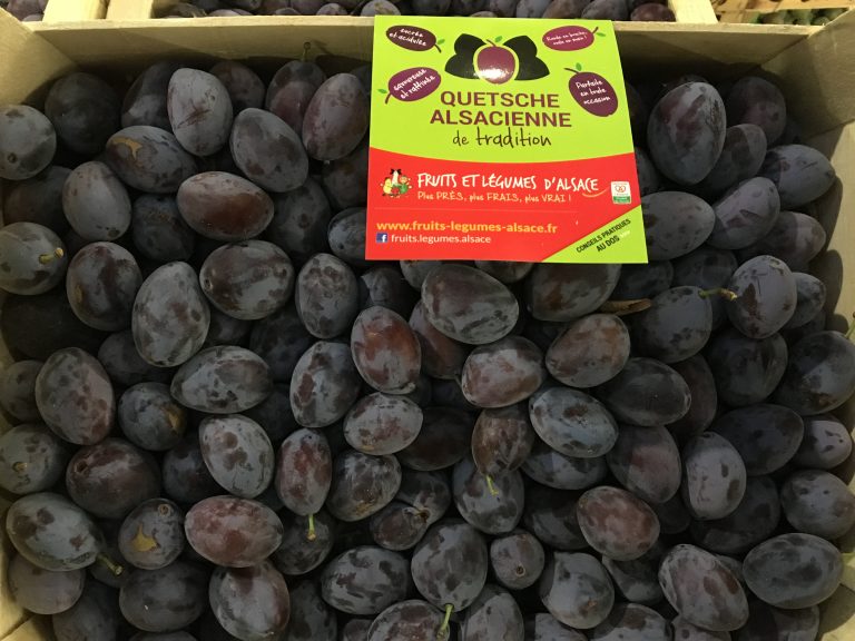 C'est la pleine saison des Prunes. - Atlantic Primeurs