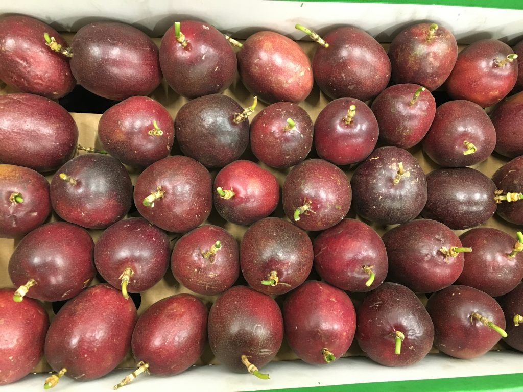 Venez apprécier nos variétées de prunes - Atlantic Primeurs