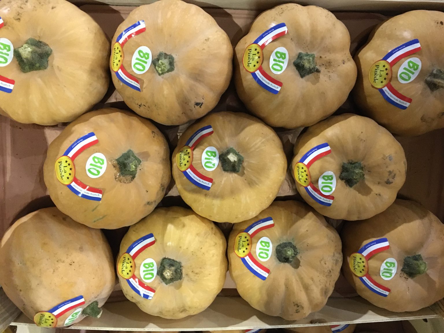 DU RENOUVEAU DANS LA GAMME BIO - Atlantic Primeurs